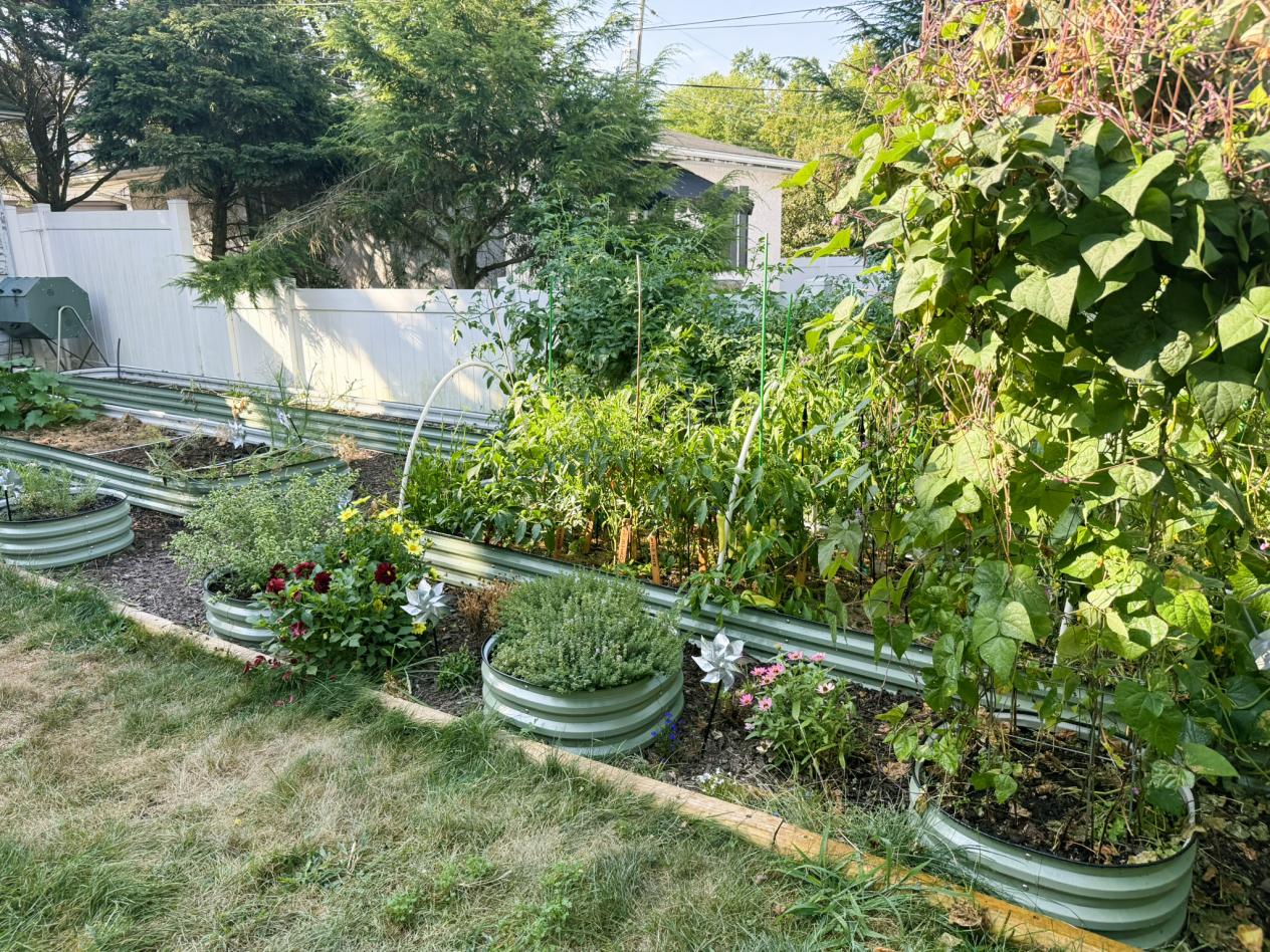 How to Keep Raised Bed Plants Alive in Winter :: YardYum - Garden Plot ...