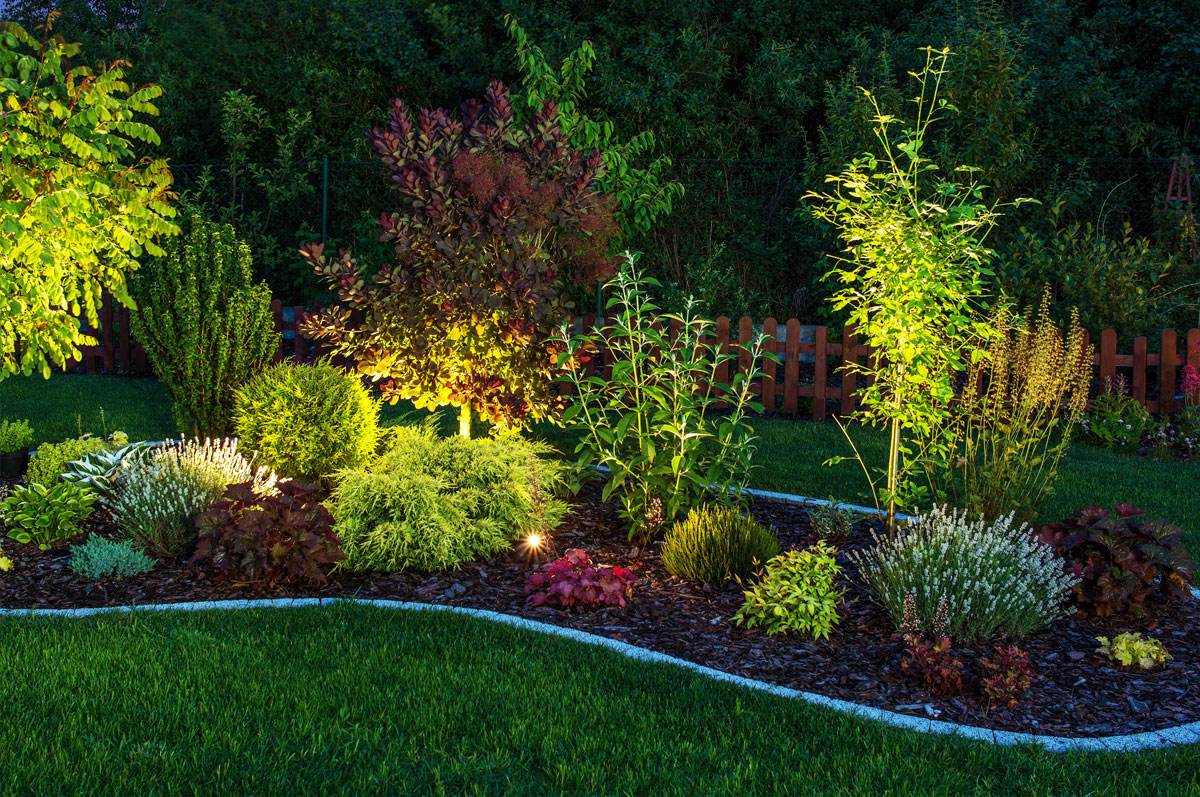 Landscape Lighting Tips For Beautiful Gardens and Drives :: YardYum ...