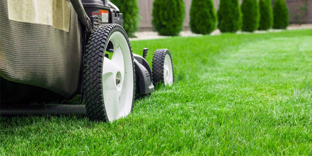 Practices That Go Into A Beautiful Lawn :: YardYum - Garden Plot Rentals